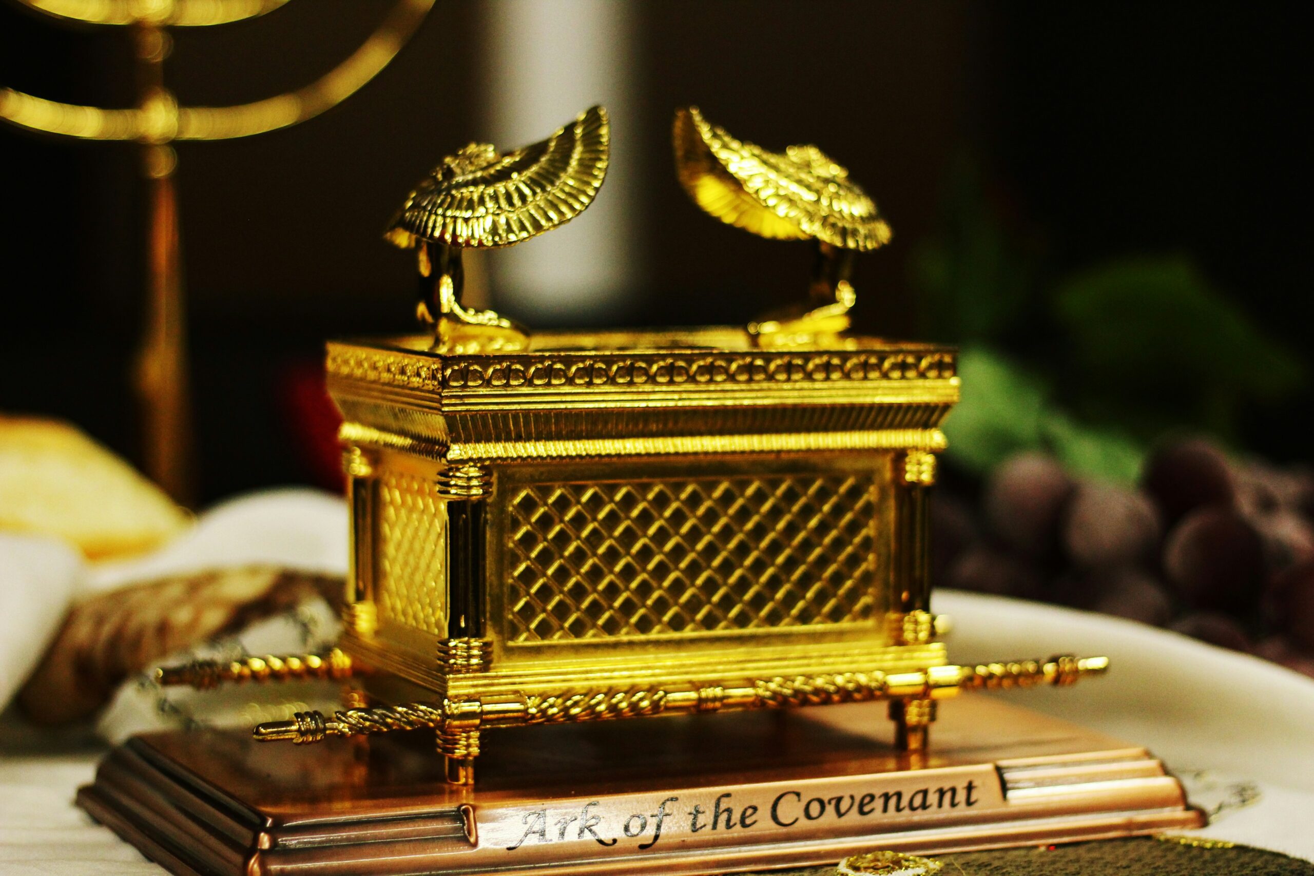 God of the Ark | Christian, Tell Me Why